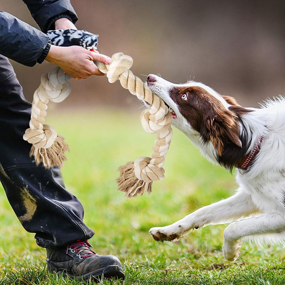 Best Dog Rope Toy: Keep Your Pup Entertained