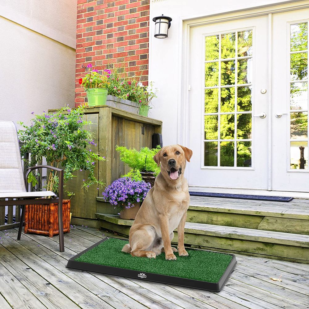 The Best Artificial Grass For Dog Potty: A Clean, Comfortable Spot