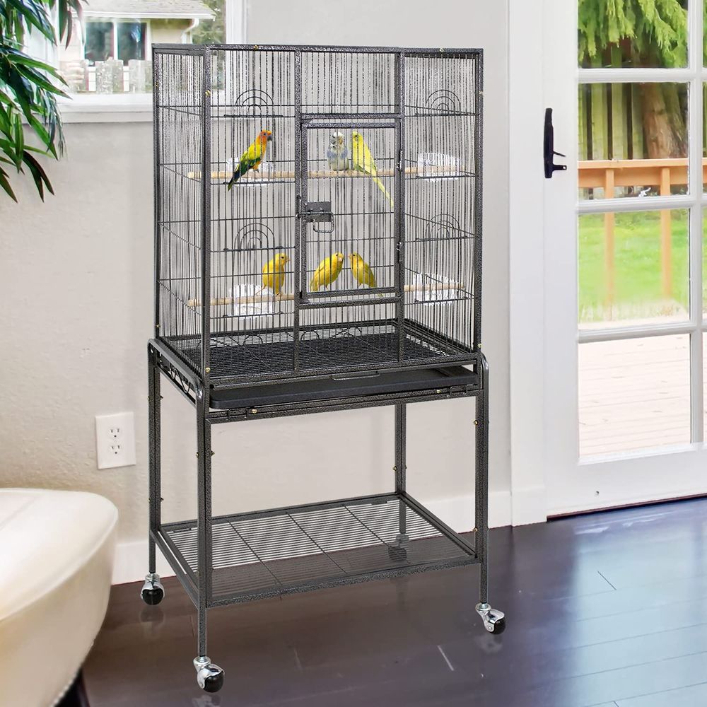 10 Best Bird Cages For Your Feathered Friend