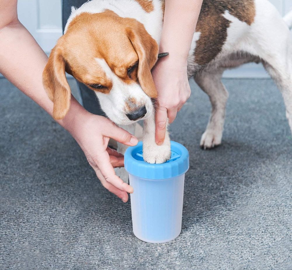 Paw Perfection: The Best Dog Paw Cleaner For A Fresh Finish