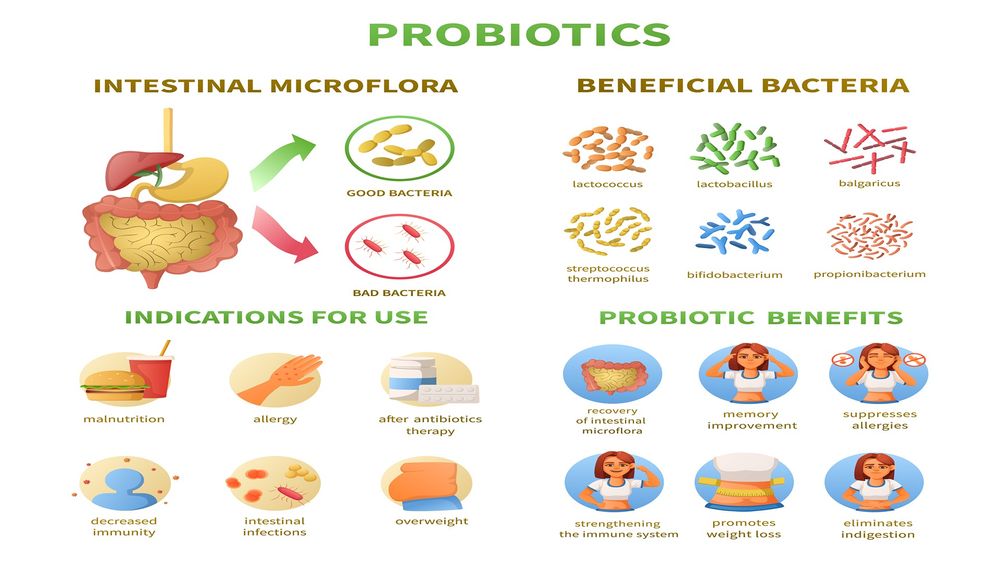 Unveiling the Benefits of Probiotics for Enhanced Health and Wellness