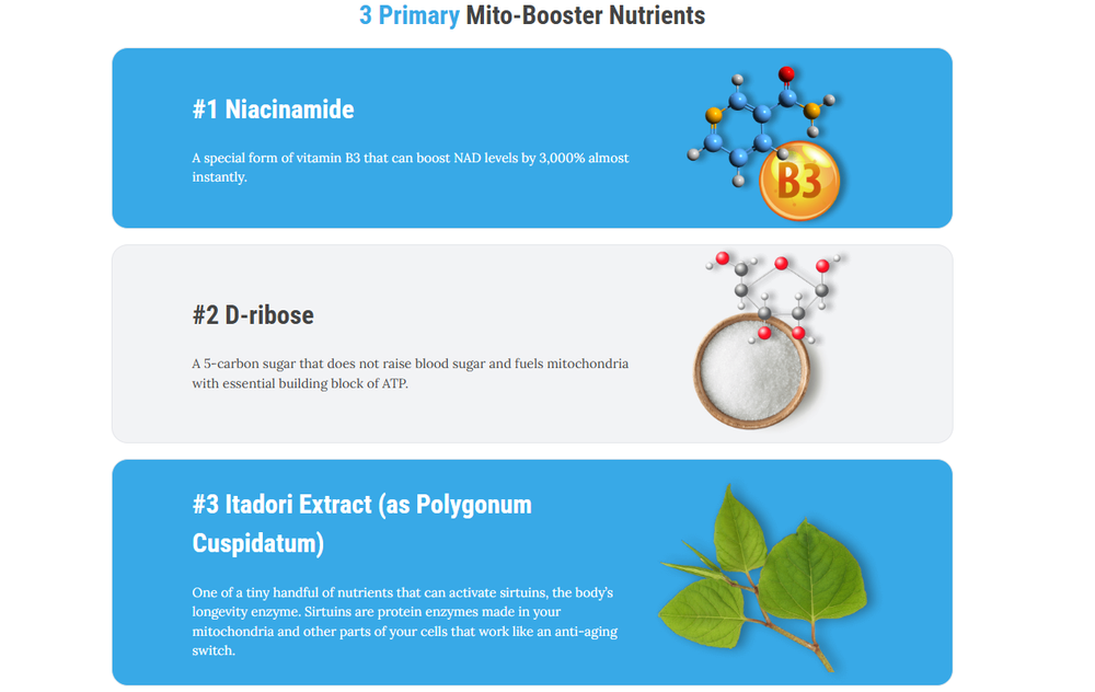 Advanced Mitochondrial Formula: A Comprehensive Review
