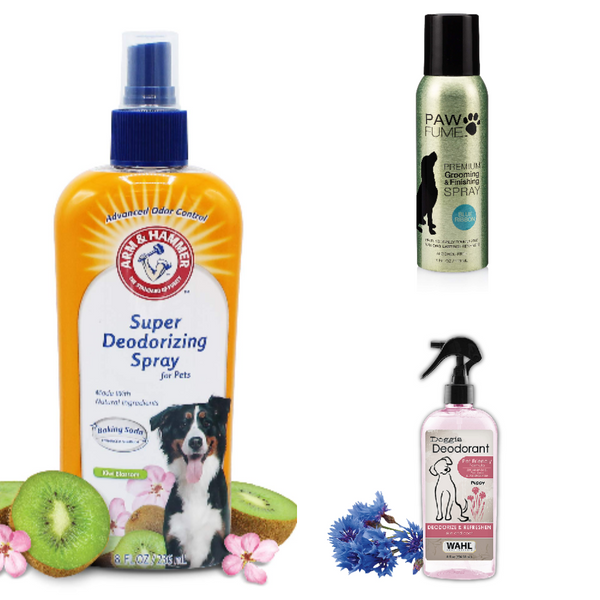 Best Dog Deodorizing Spray: Keep Your Furry Friend Fresh