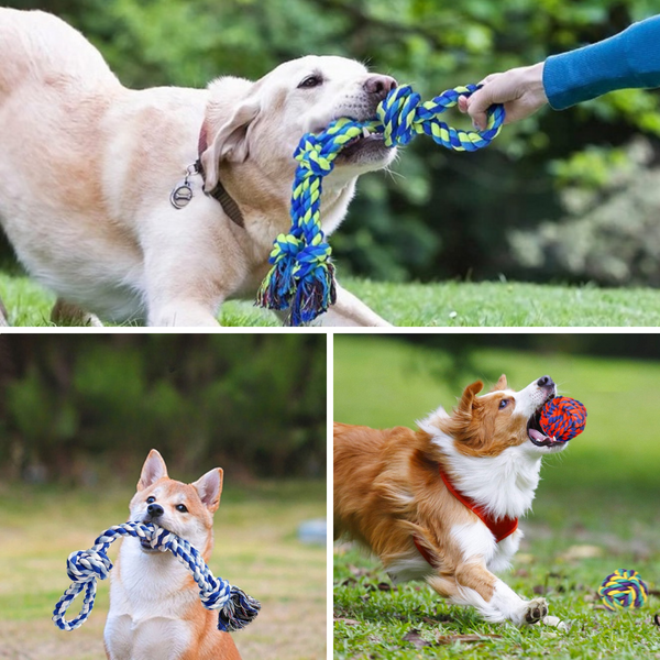Best Dog Rope Toy: Keep Your Pup Entertained