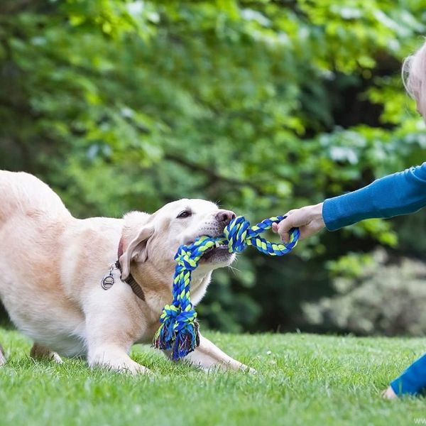 Best Dog Rope Toy: Keep Your Pup Entertained