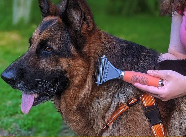 Dematting Your Dog's Fur With The Best Dematting Tool for Dogs