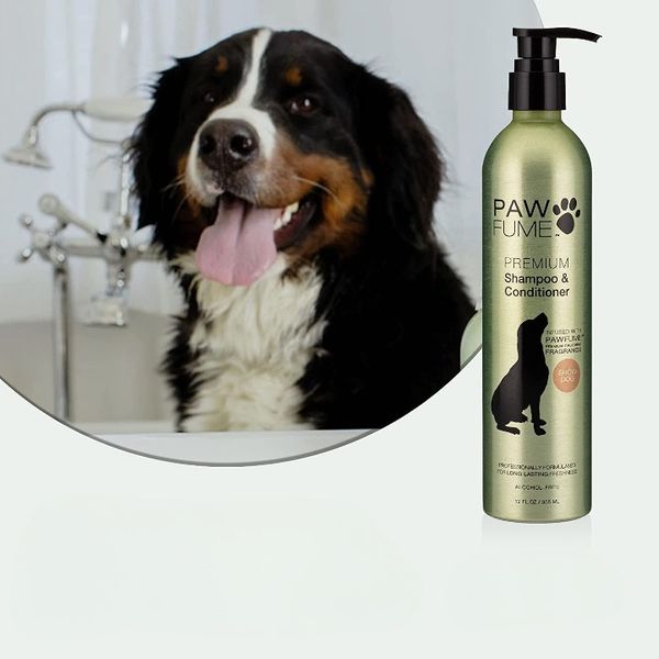 Best Hypoallergenic Dog Shampoo For Dry Itchy Skin