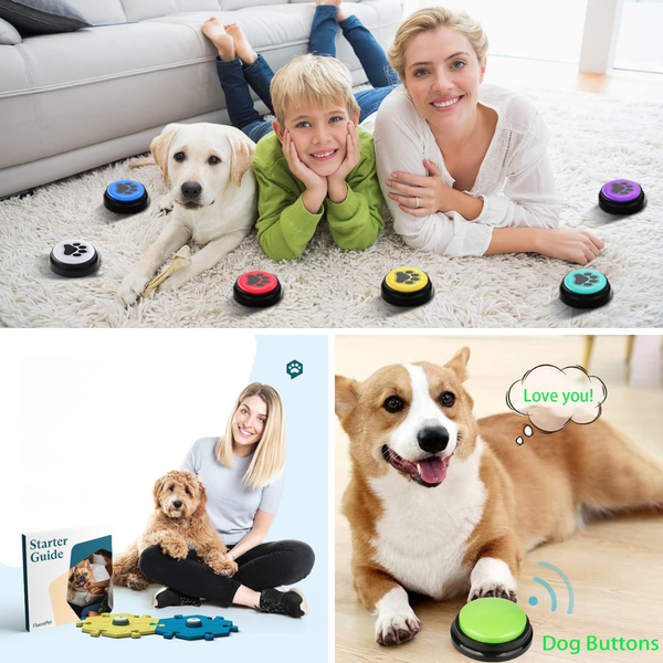 Bark Out Loud: A Review of Dog Talking Buttons for the Pup Who Has ...