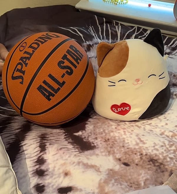 What is a Squishmallow: The Ultimate Guide to the Cuddliest Plush Toys