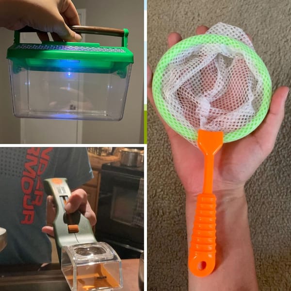 Buzzing with Joy: Perfect Presents for the Passionate Gifts for Bug Lovers!